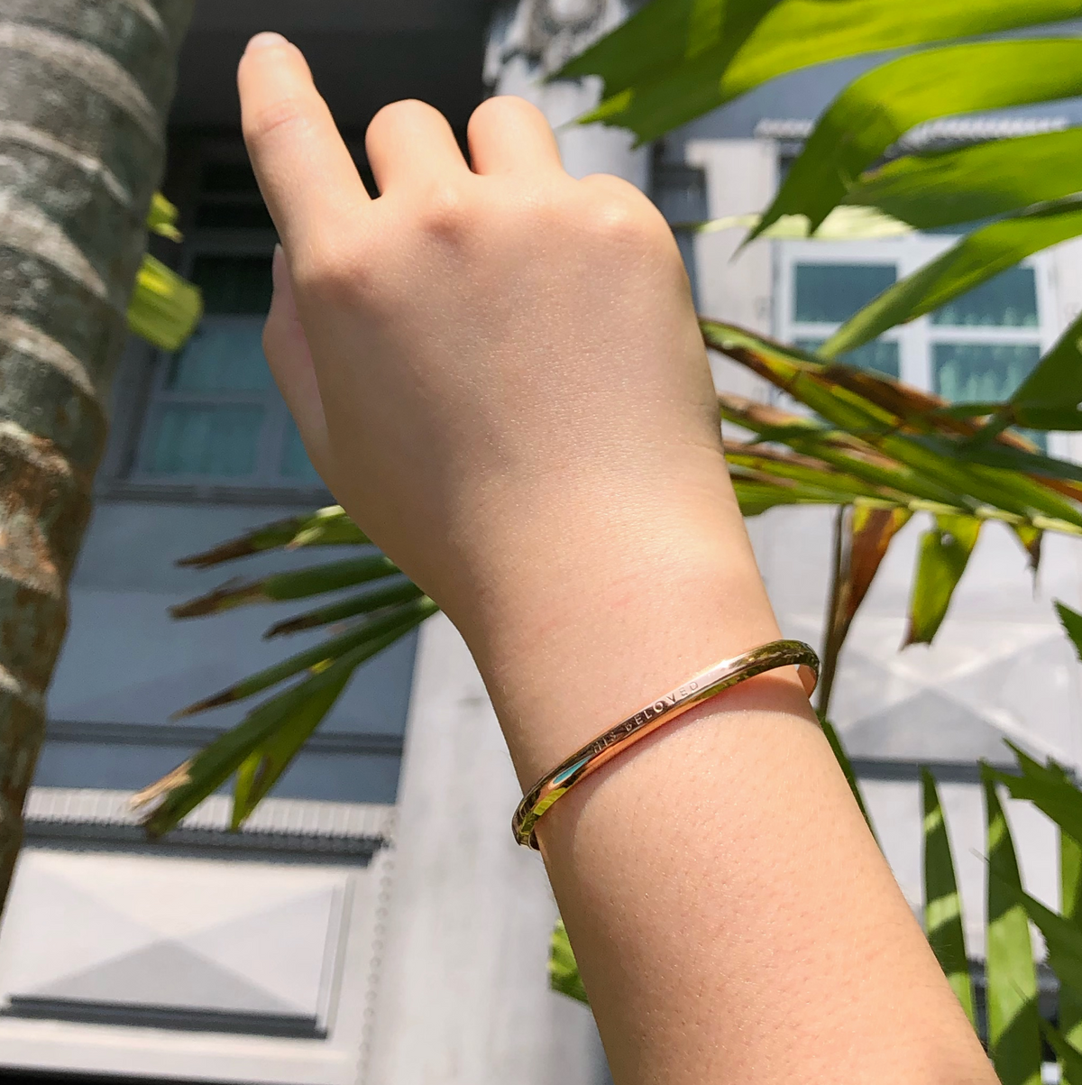 Bracelets– Jacob Rachel